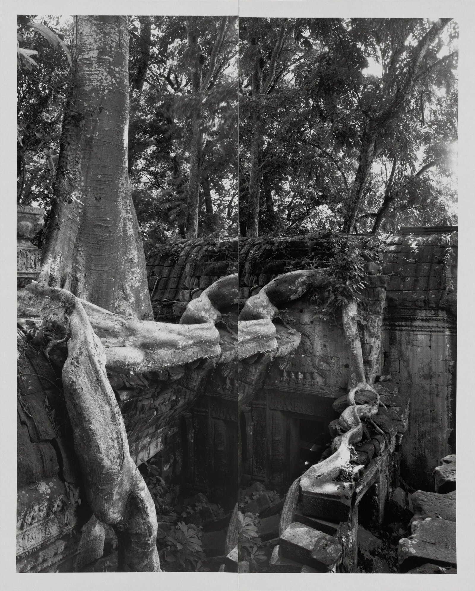 Visions of Angkor by...Lois Conner - Angkor Database