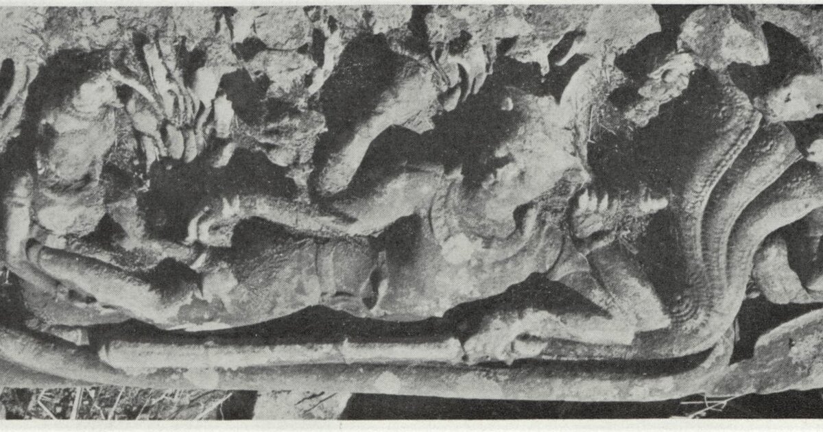 Reclining Vishnu in Khmer Art/ Représentations khmeres du Visnu couché ...